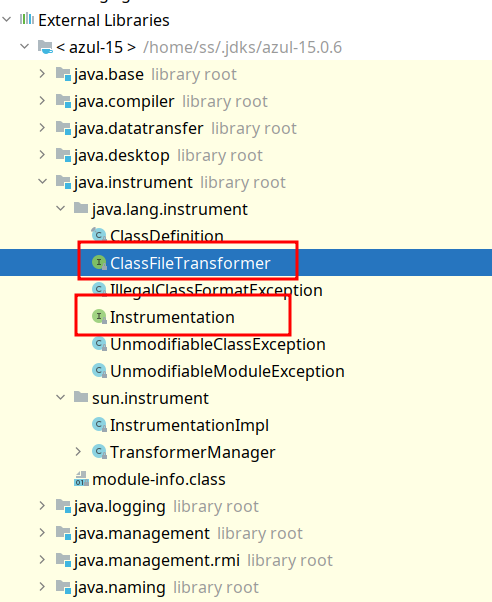 javaagent简介 | 李嘉图